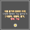 식물 줄기의 종류와 구조 다양한 형태와 기능 알아보기 식물학 생물학 줄기 형태 기능 네이버 블로그